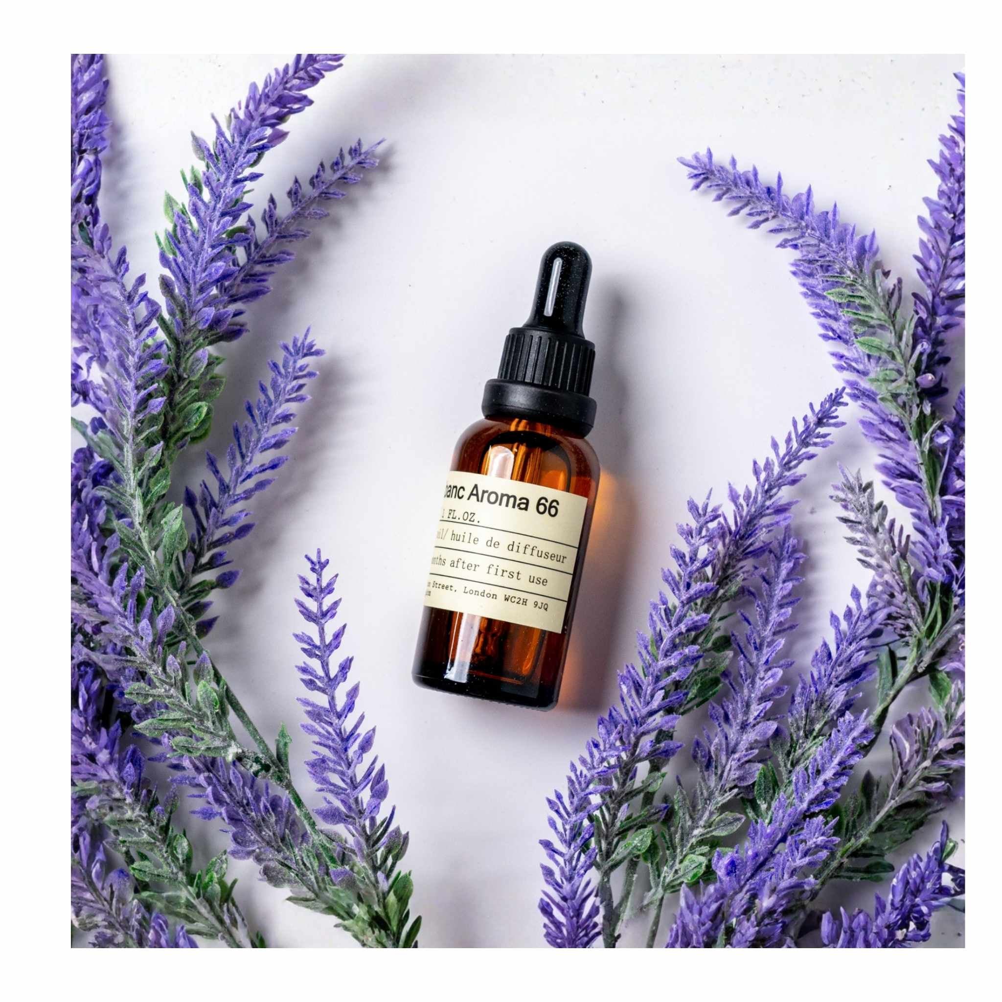 Essential Oil NO.66 Lavender de Provence – Charabanc Aroma